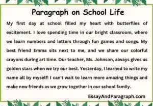 Paragraph on School Life (100, 150, 200, 250 And 300 words)
