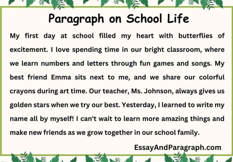 Paragraph on School Life (100, 150, 200, 250 And 300 words)