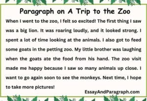 Paragraph on A Trip to the Zoo [100, 150, 200, 250 And 300 Words]