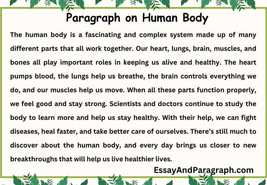 Paragraph on Human Body [100, 150, 200, 250 And 300 words]