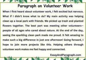 Paragraph on Volunteer Work (100, 150, 200, 250 And 300 words)
